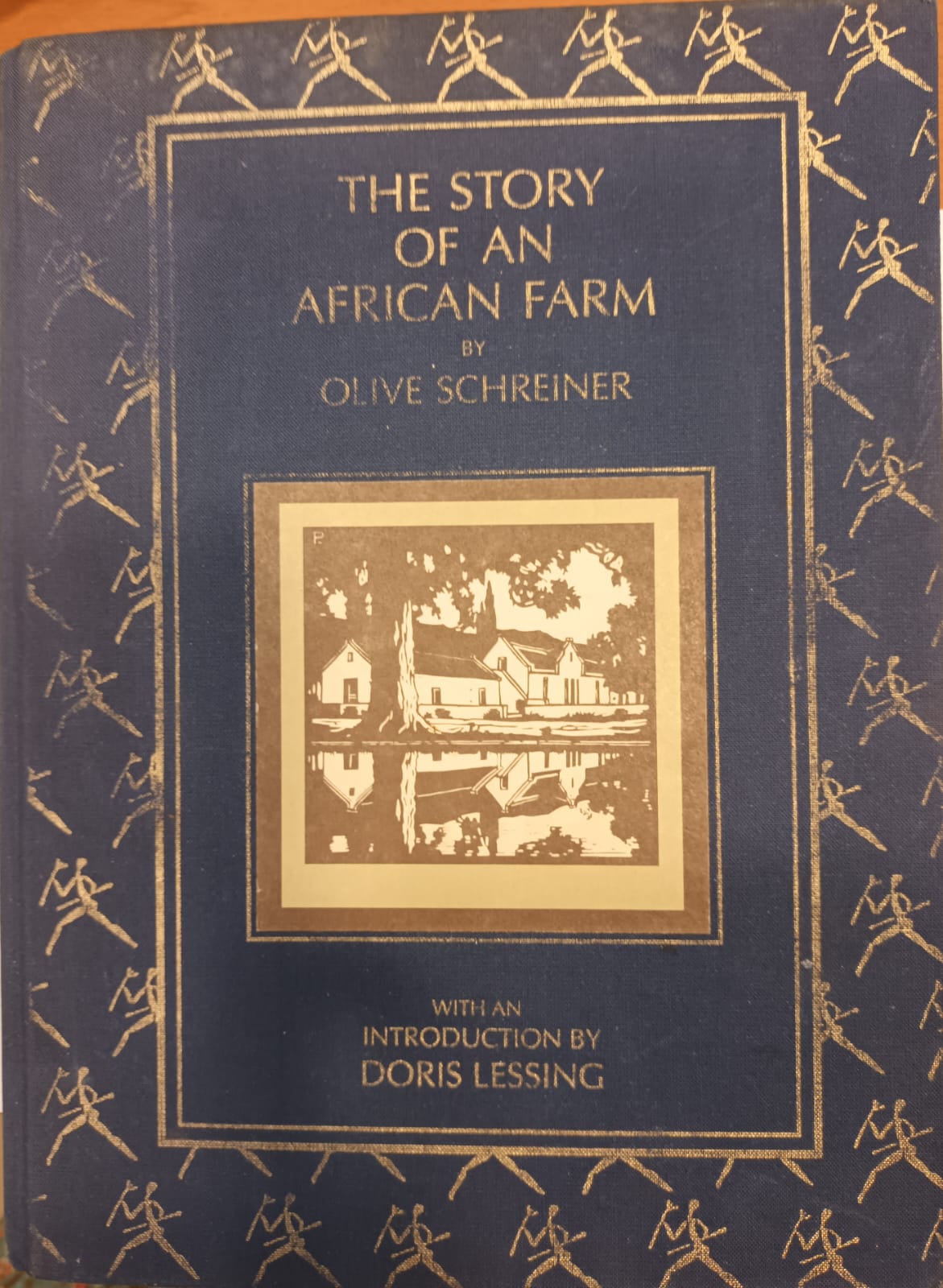 The story of an African Farm - Jenny's Book Shop